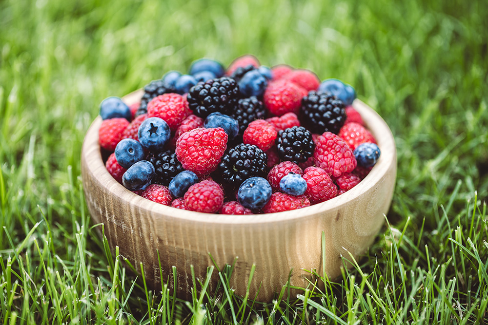 Stanić – Fruits of Life