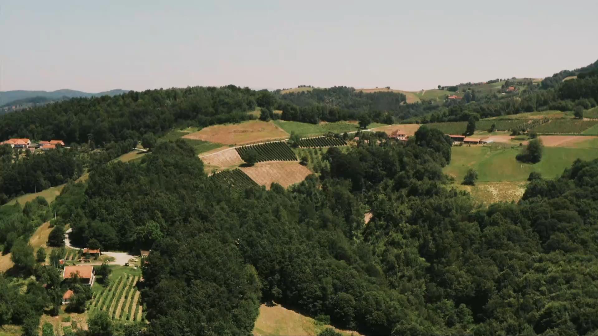 Products – Stanić